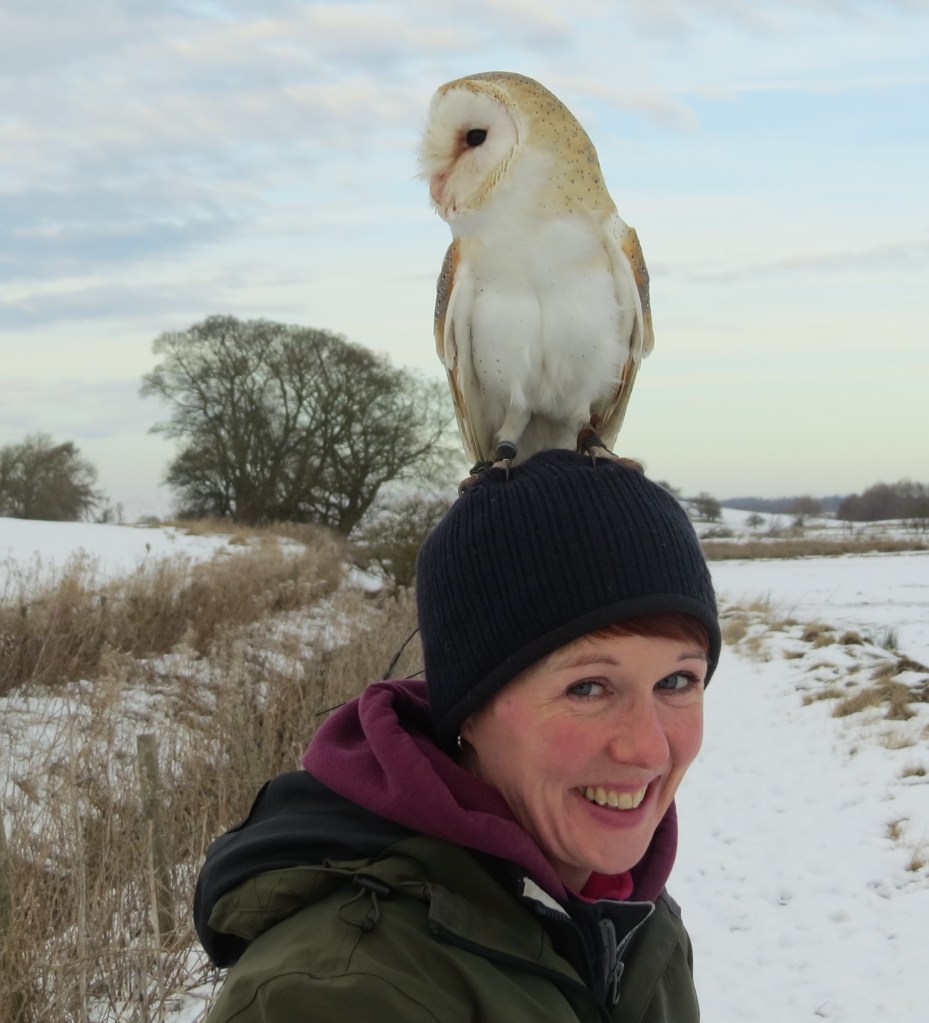 Book offers an owl’s eye view of the world – John Dean – Crime Writer